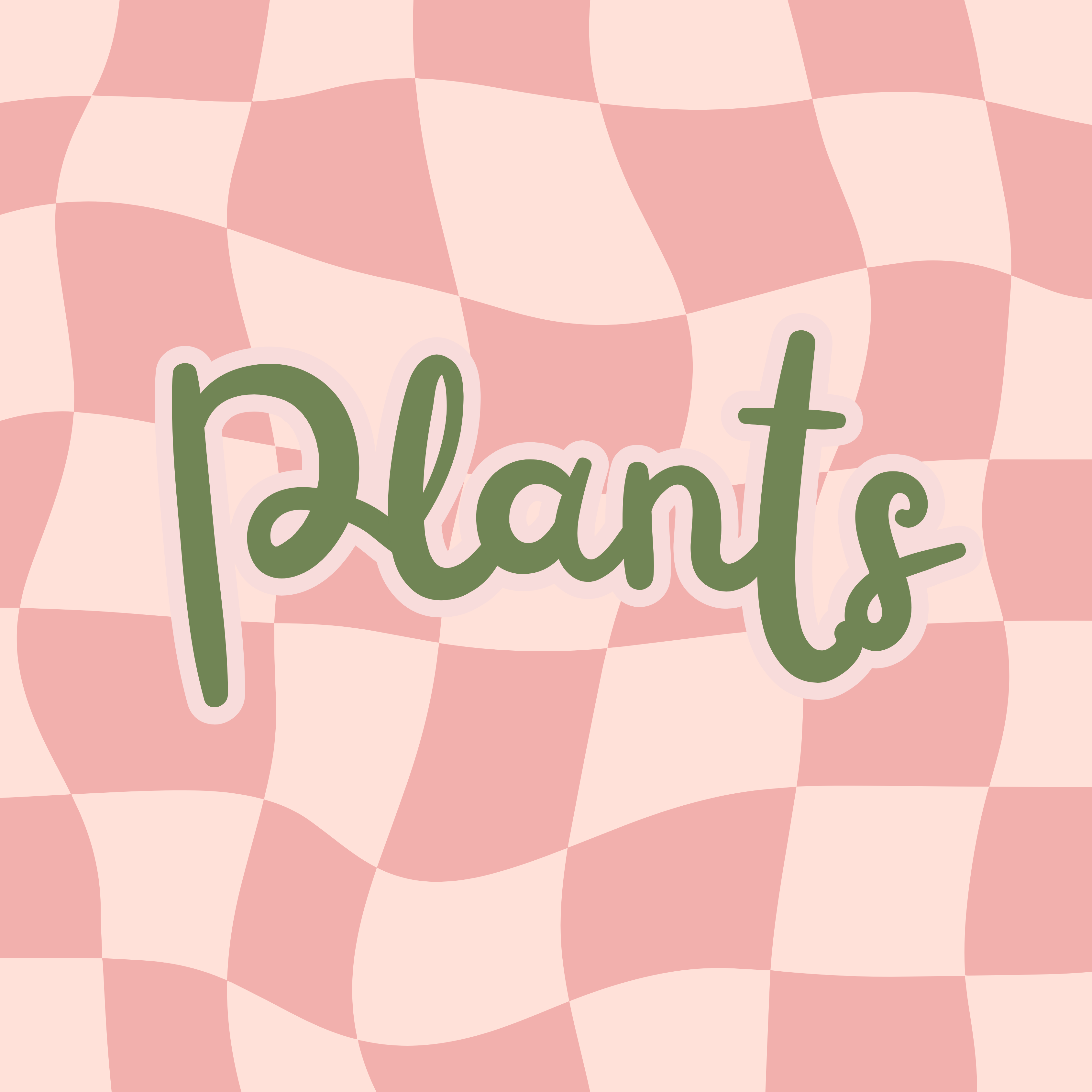 Collections – Read & Rooted